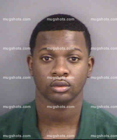 Collier County, Florida Mugshots: Mugshot Britt Lavoss Johnson