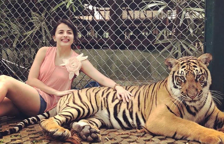 GEOGRAFI LINGKUNGAN: HARIMAU ; KUCING BESAR LORENG PENGUASA RIMBA BELANTARA