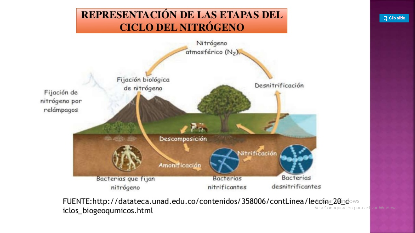 "LOS CICLOS BIOGEOQUÍMICOS"
