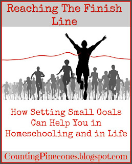 Counting Pinecones: Reaching the Finish Line