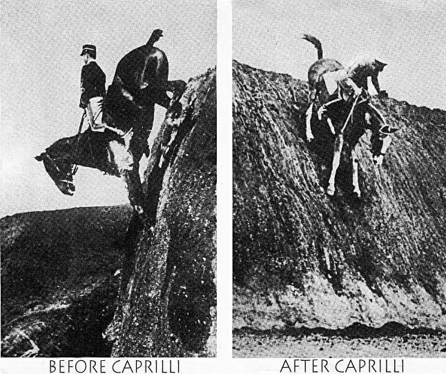 Equitação Clássica - Modernos Clássicos: Movimentos Naturais