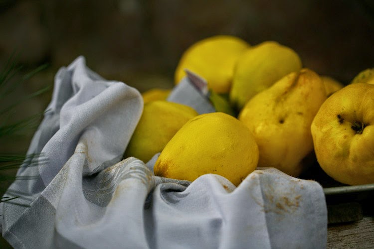 LIVING IN DRESDEN: two ways to cook quinces
