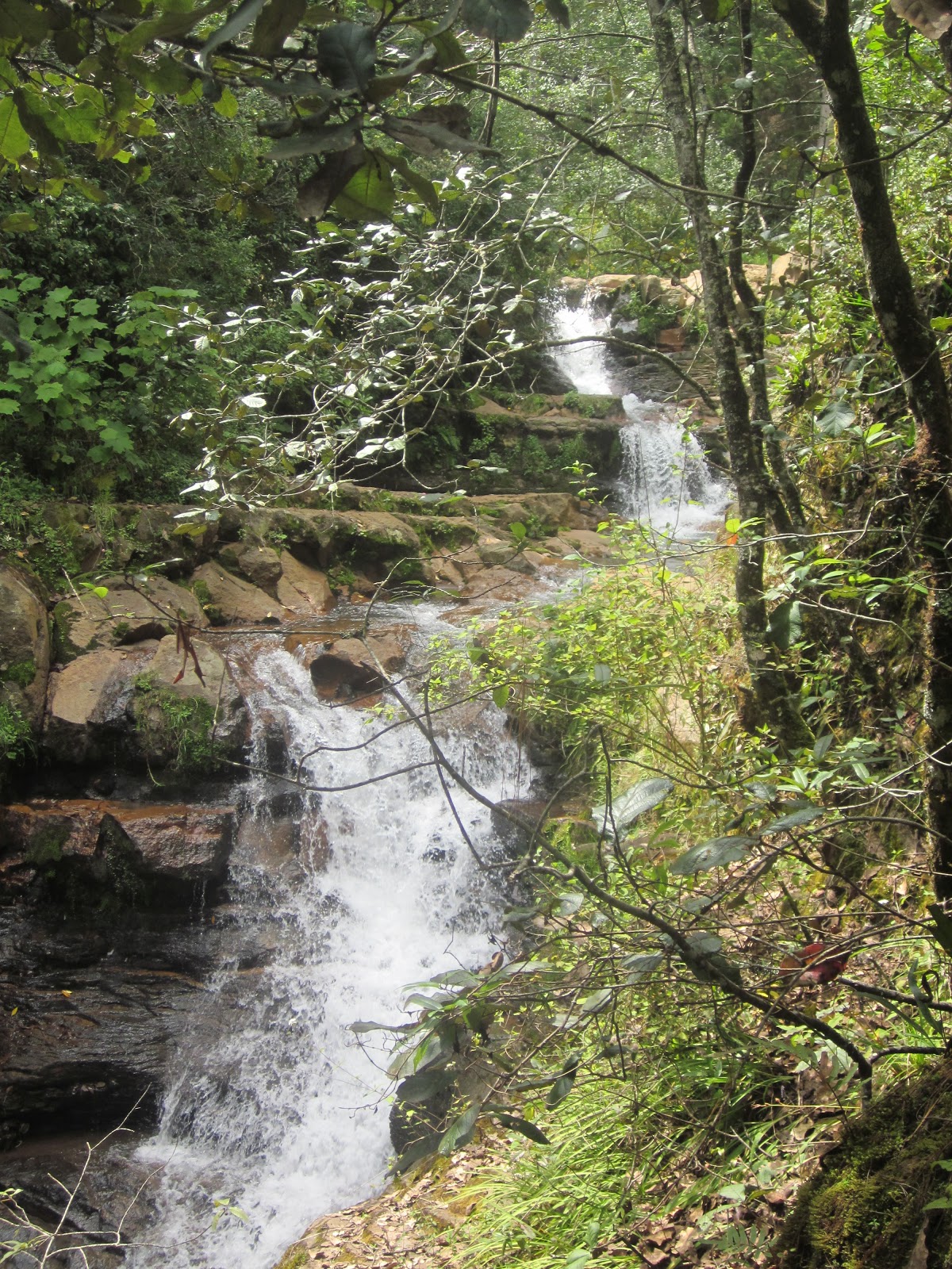 Wimmers Called to Serve