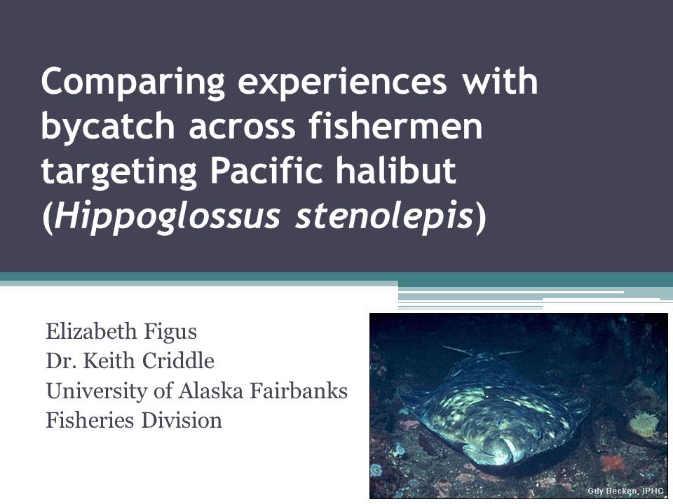 HALIBUT RESEARCH: Part I