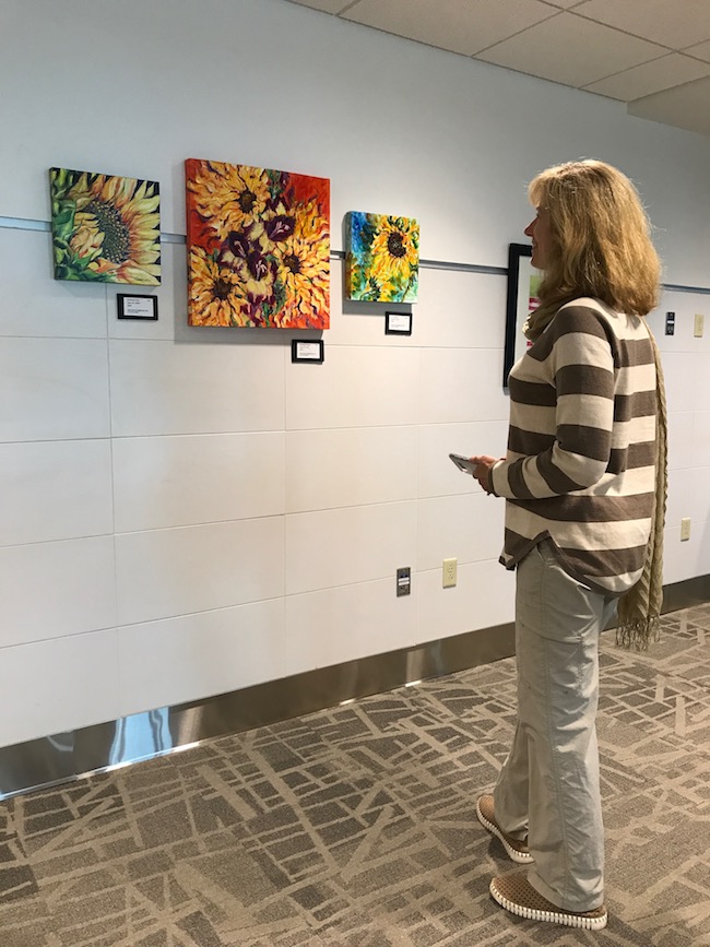 Wisconsin Visual Artists' Guild: 2017