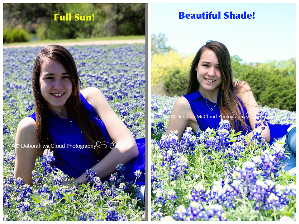 Beautiful Photography in Cedar Park and Leander