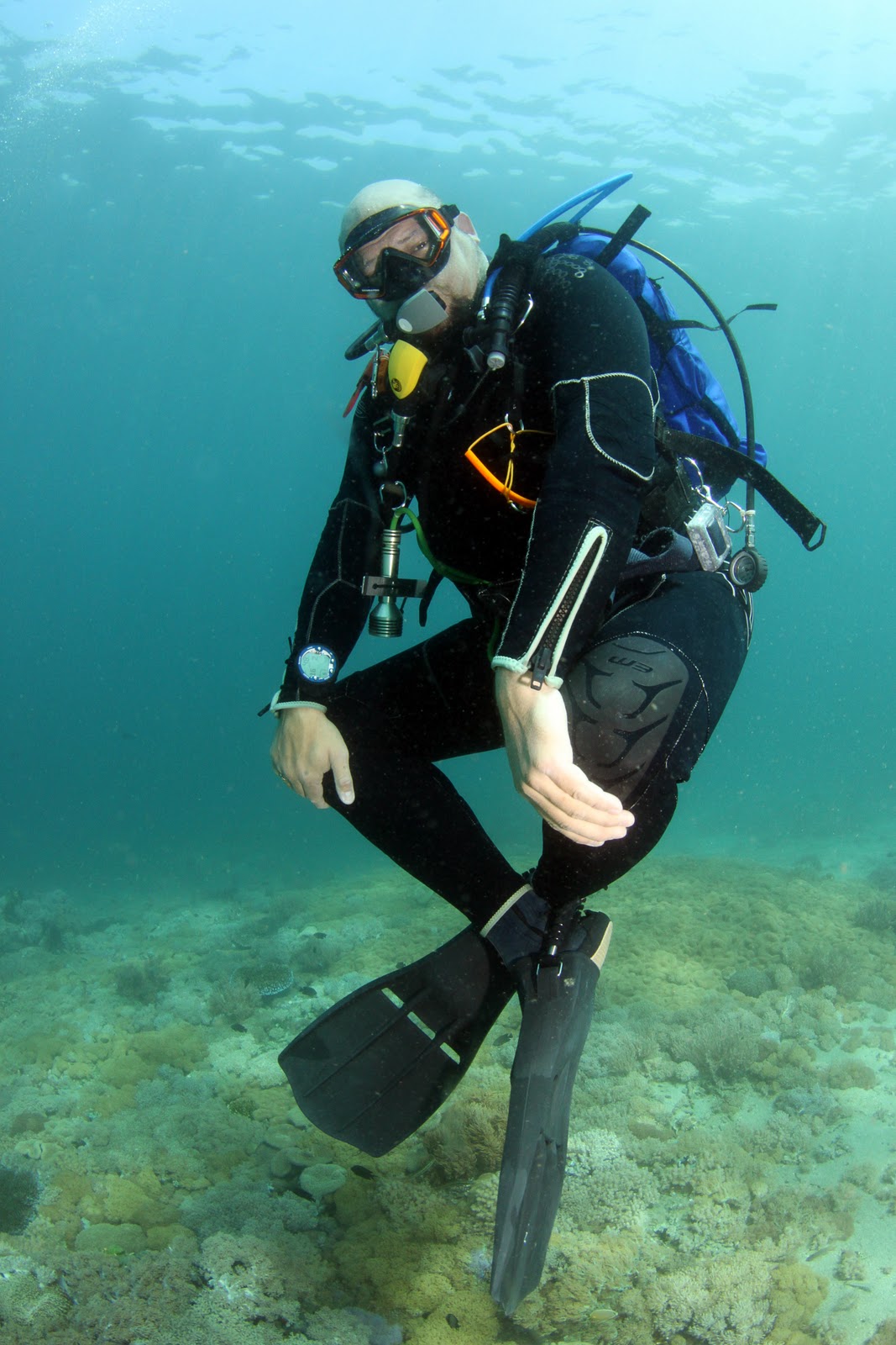 Diving is everything!!!!: Dykande dykare!!!