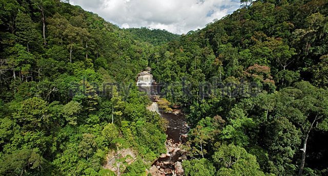 KINABALU: THE WONDERS OF BORNEO - MALIAU BASIN, THE LOST WORLD