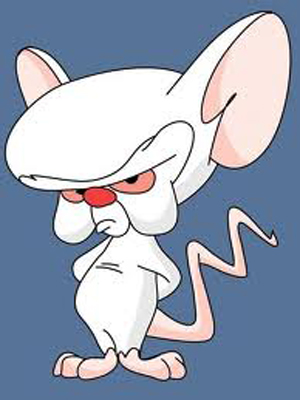 Caricaturas De Mi Infancia: Pinky Y Cerebro