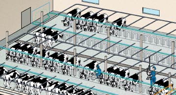 Ingeniería en Producción Animal: Sistemas de ordeño en estabulación fija