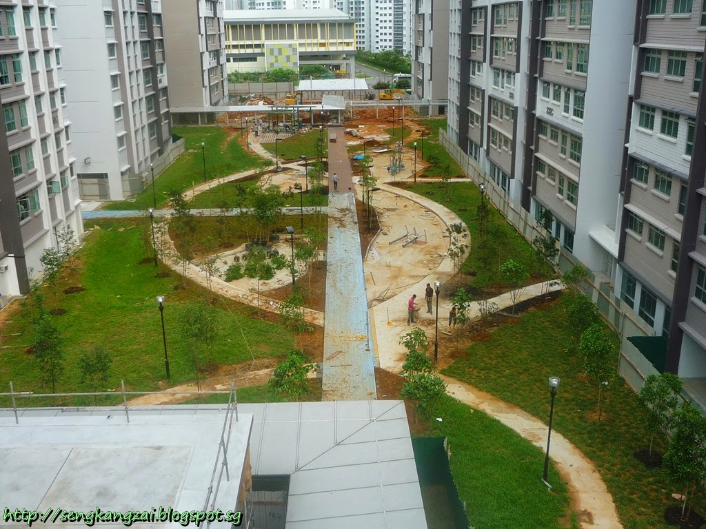 Zai@Sengkang: Anchorvale Isles (Year 2014 Week 25)