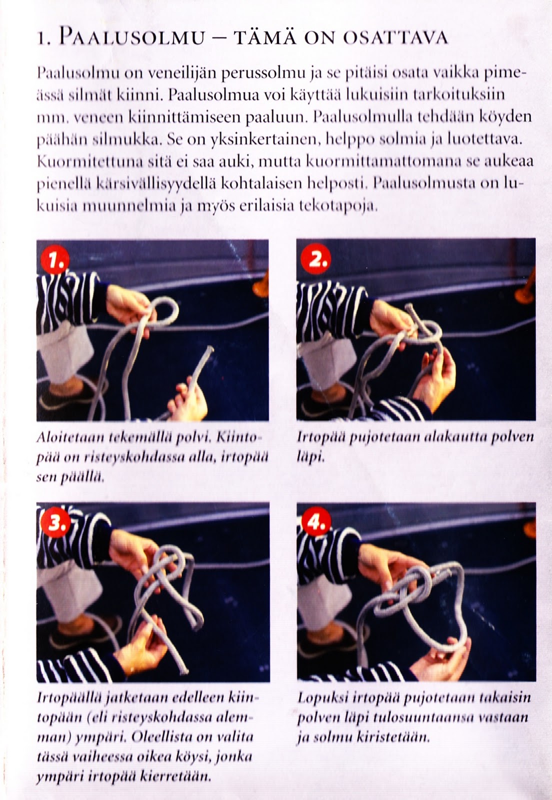 Skiglari: Perussolmut