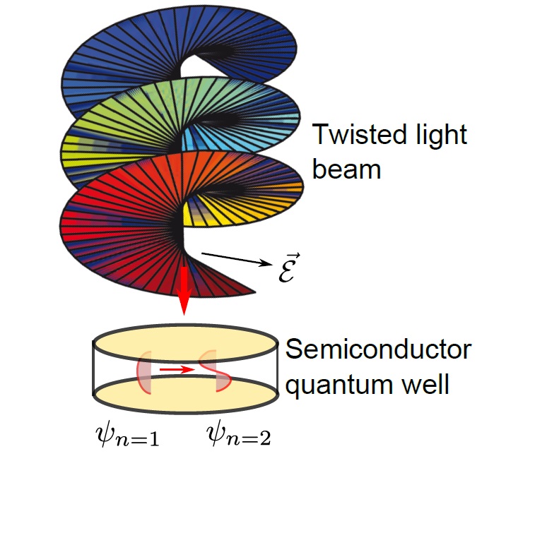 Twisted-light-induced transitions in quantum wells | The Physics of ...