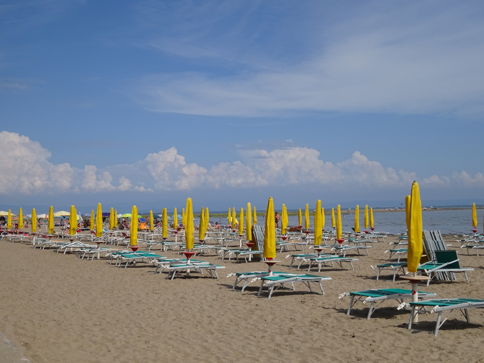 Menard & Jack Russell Terrier: Gradež / Oglej