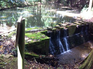 FORESTRY IN MAURITIUS: SOPHIE NATURE WALK