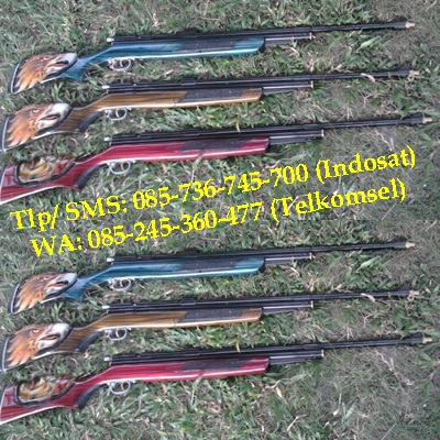 Pusat Grosir Senapan Angin Sharp Innova, Ace, Tiger, laras long ...