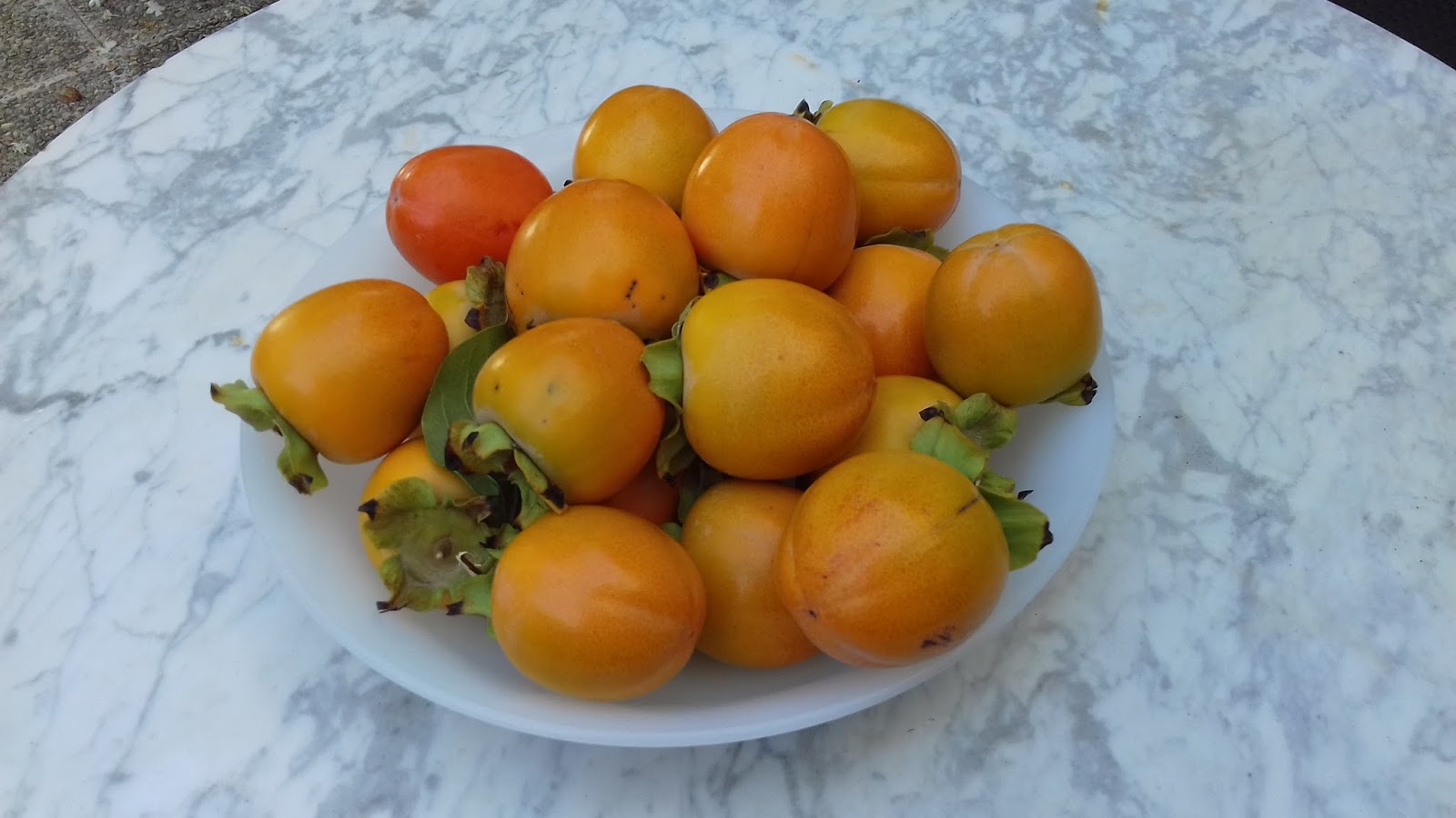 Un huerto en Fuerte del Rey: CAQUIS