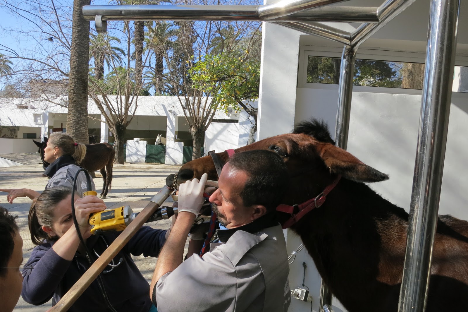 The American Fondouk, Fez, Morocco: Back at the Fondouk