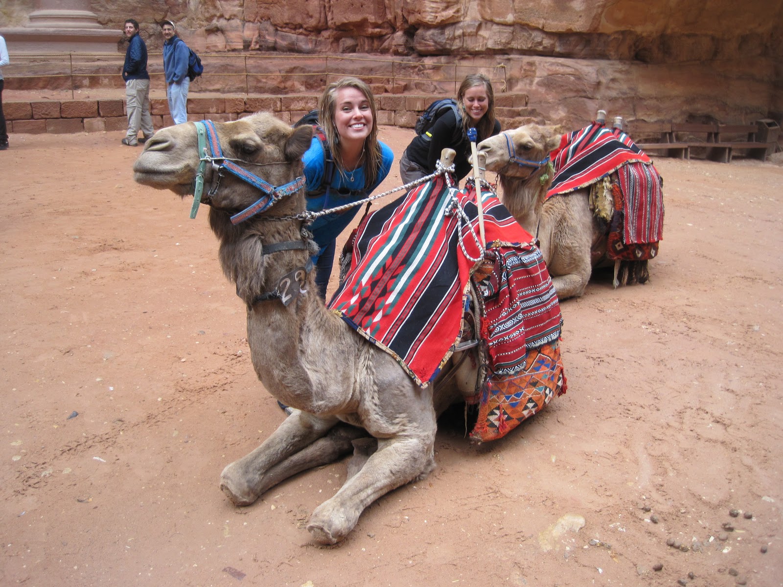 Rachel's Rosetta Stone: Day Two: PETRA