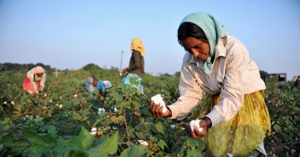 WHAT IS THE CROPPING SEASON OF INDIA ? WHAT ARE THE MAJOR CROPS