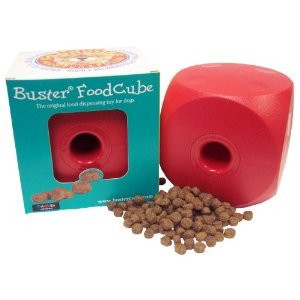 Top Dog Blog!: Adam's Christmas Toy Picks (For your dog of course)