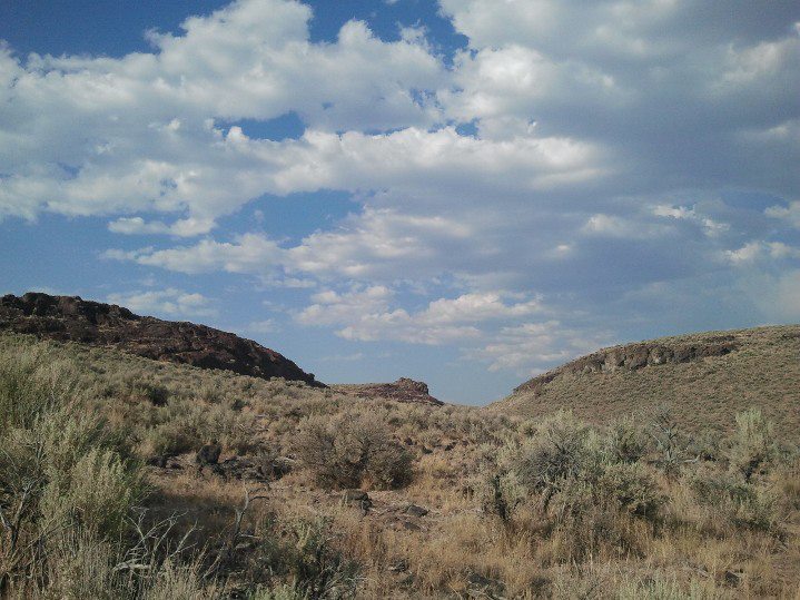 The Nevada Traveler: A Geologic Legacy: the Owyhee Desert
