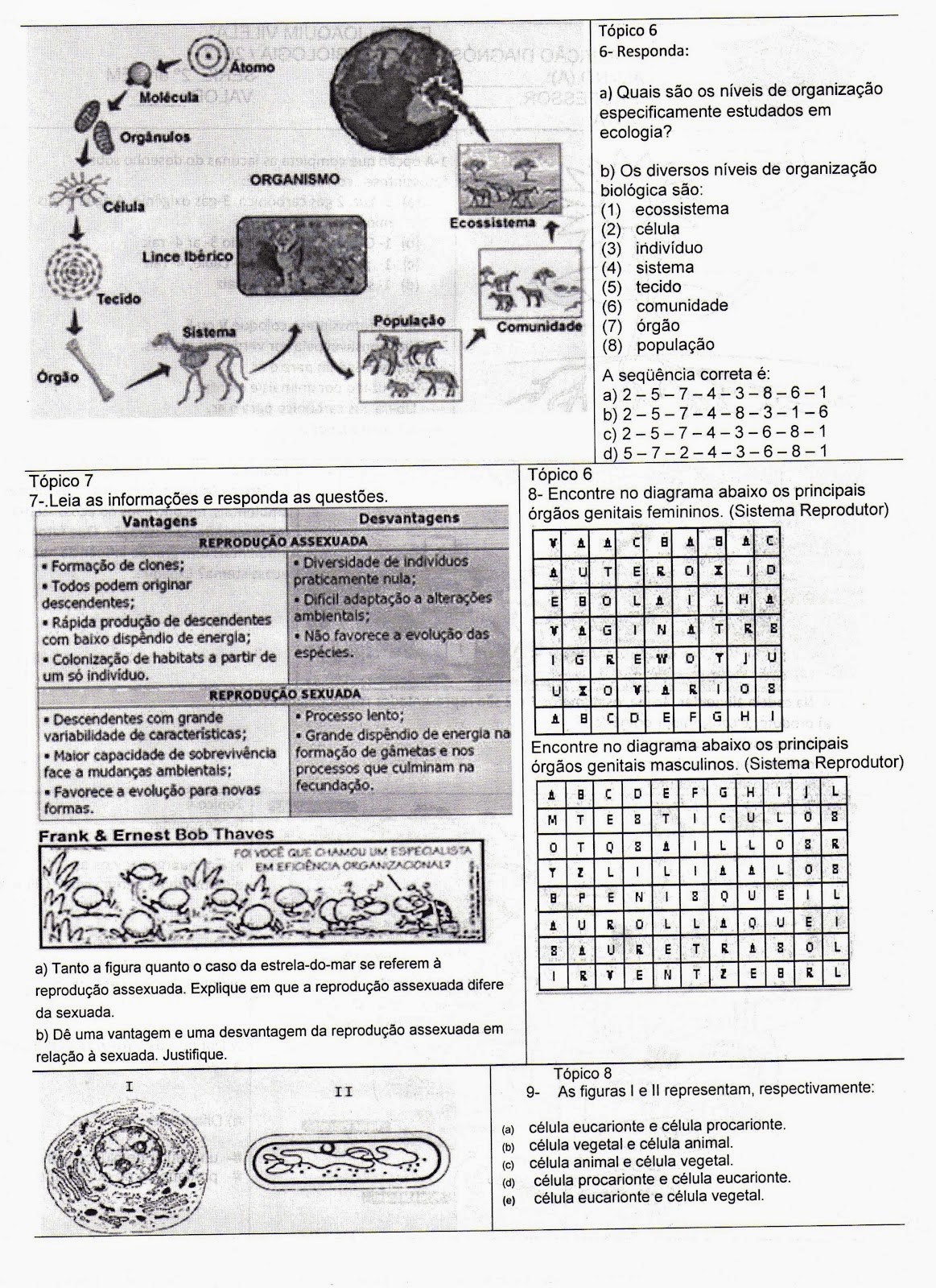 Prova De Biologia 2 Ano Ensino Médio Com Gabarito