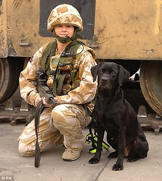 The Luxuriest Moment: Luxurious armored dogpods for the military ...