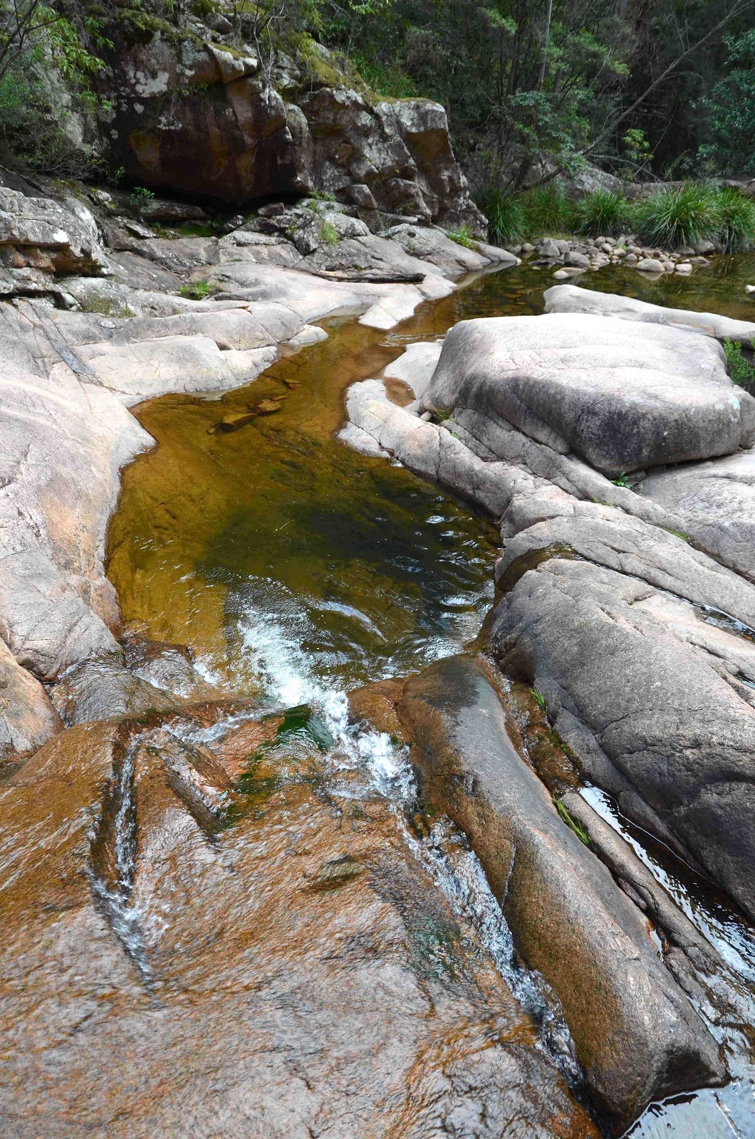 A Soul Walkabout In Australia: News South Wales. The South East Coast ...