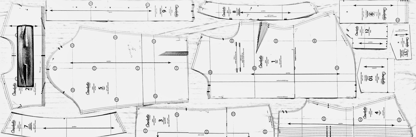 CozyCotton: Celeste's Sewing Blog: First Time Shirtmaking with ...