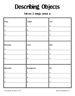 Ms. Lane's SLP Materials: Expressive Language: Describing Objects