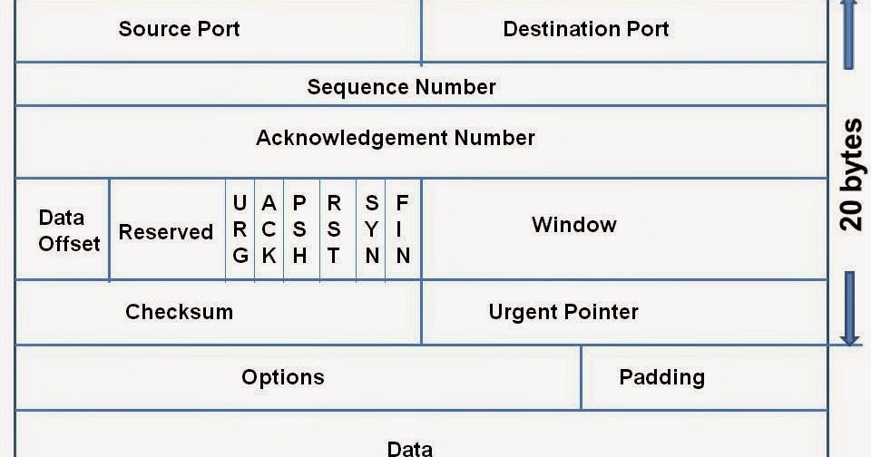 Networking And Linux Concepts Tcp Segment And Header