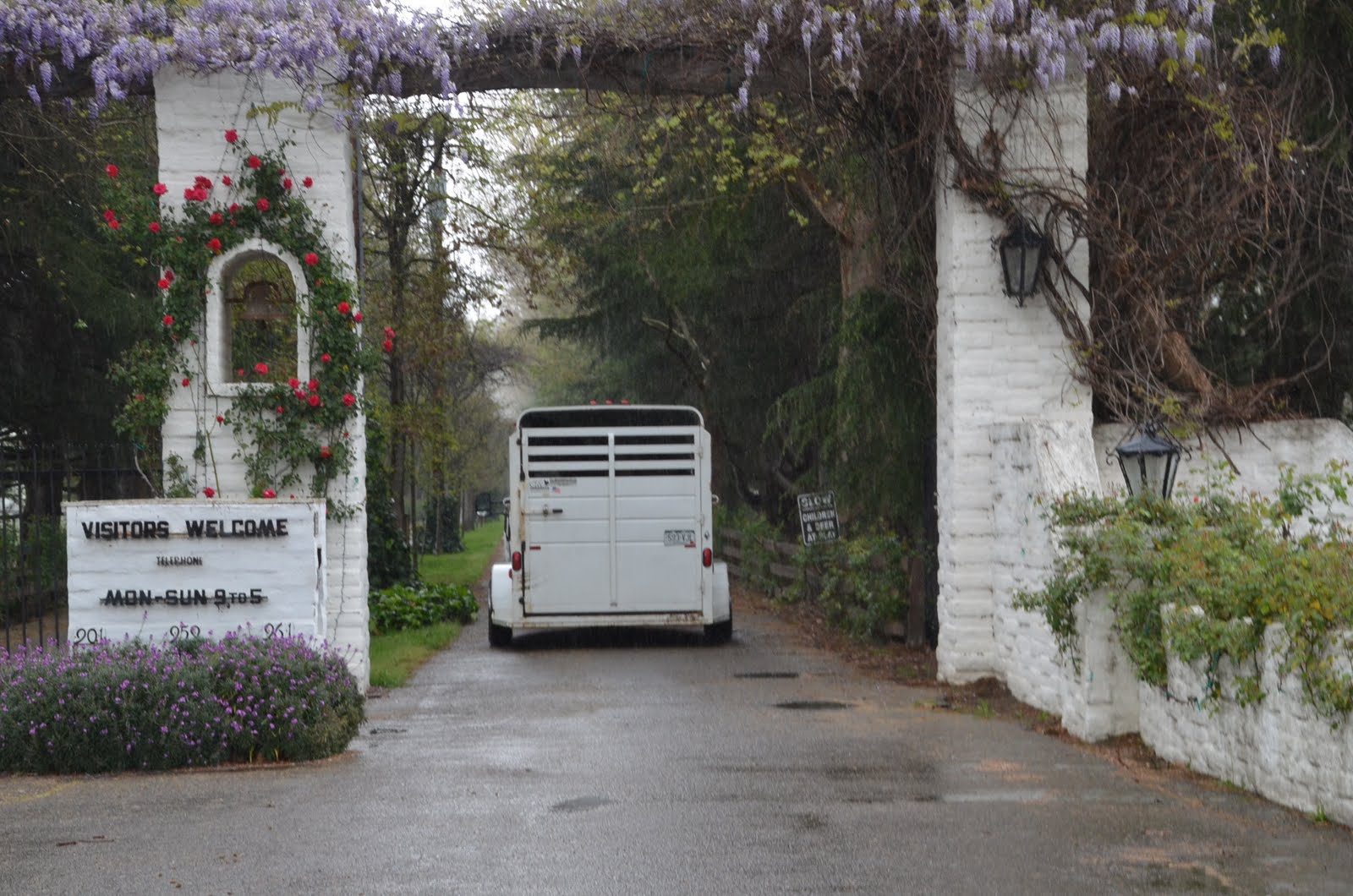THE EQUINE NOMAD: Maggie Speaks: Flag is Up Farms and Audition for ...