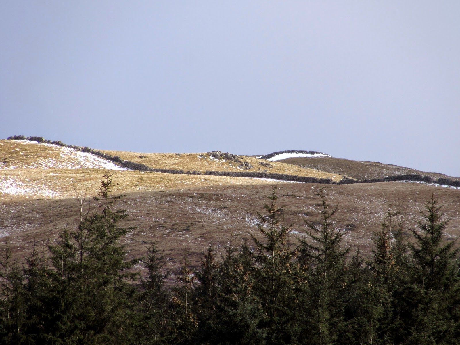 The Glebe Blog: Wigtownshire Ramblers Two Walks - Wood of Cree to Loch ...