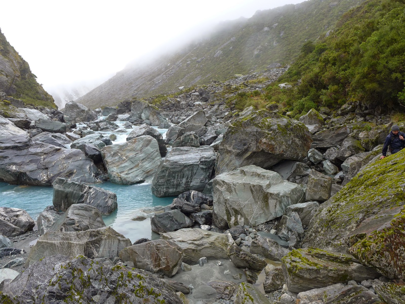 Wazza's Wanderers : Whymper Hut, Whataroa Valley.