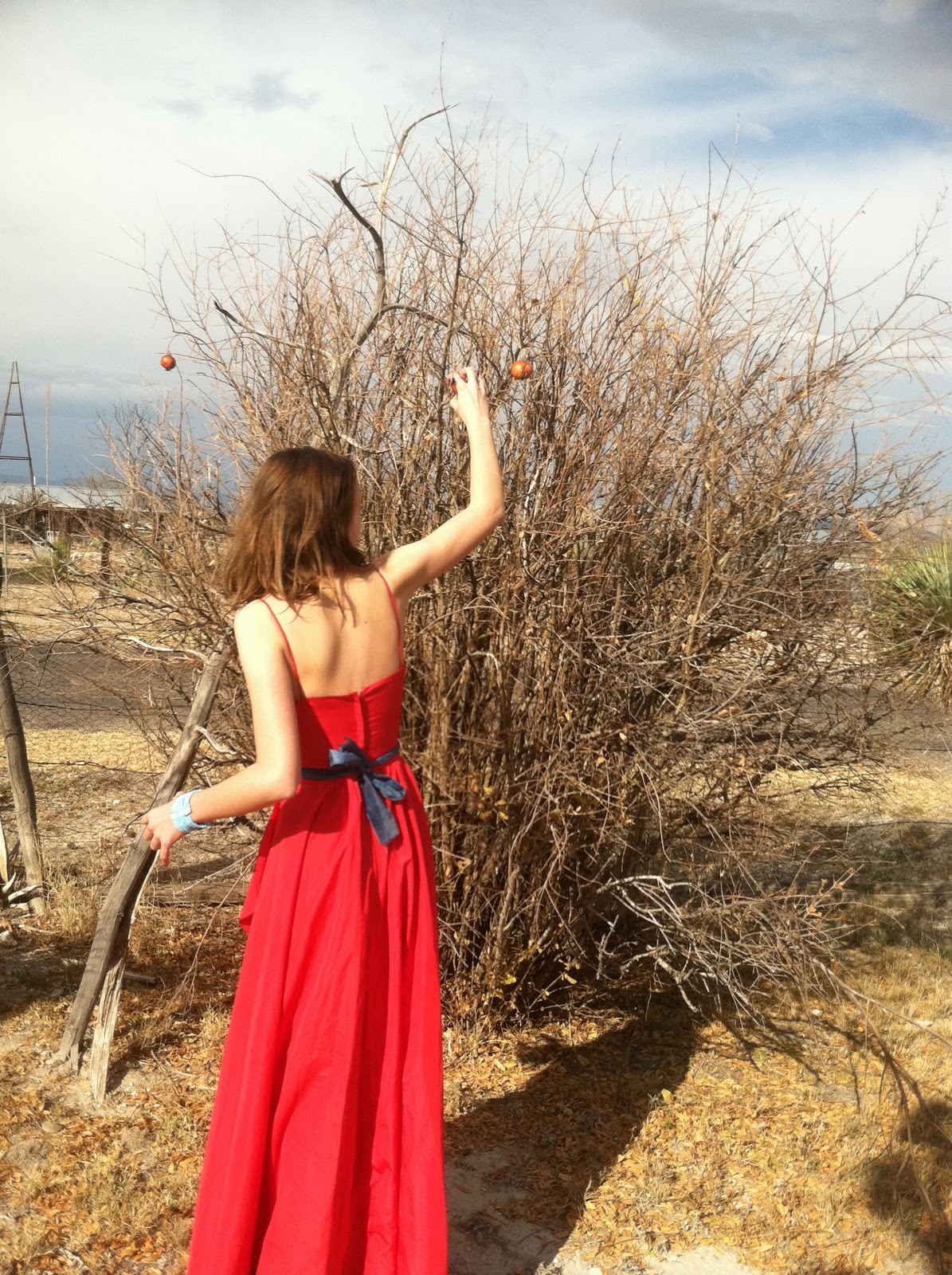 Ratticus Finch: JESSAY: A Dear Old Trip To West