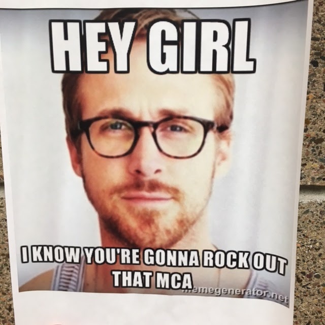 SERIOUSLY Funny MCA Memes:)