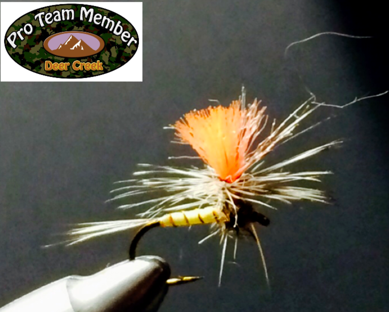 Fishermans Friend: Buy Flies