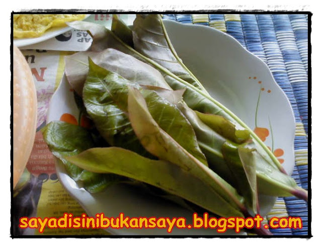 BukanSayaDisini: JOM Makan Nasi Dengan Ulam ulam Kampung