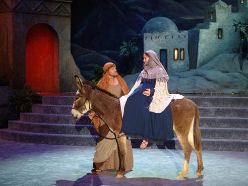 COOL ENGLISH 4 U: Mary rode to Bethlehem on a donkey