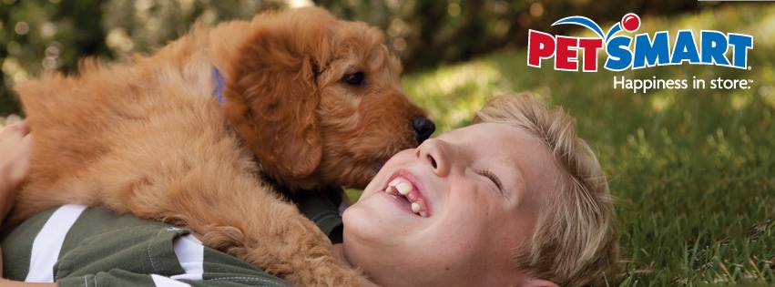 Susan's Disney Family: Petsmart has great pet costumes for Halloween ...