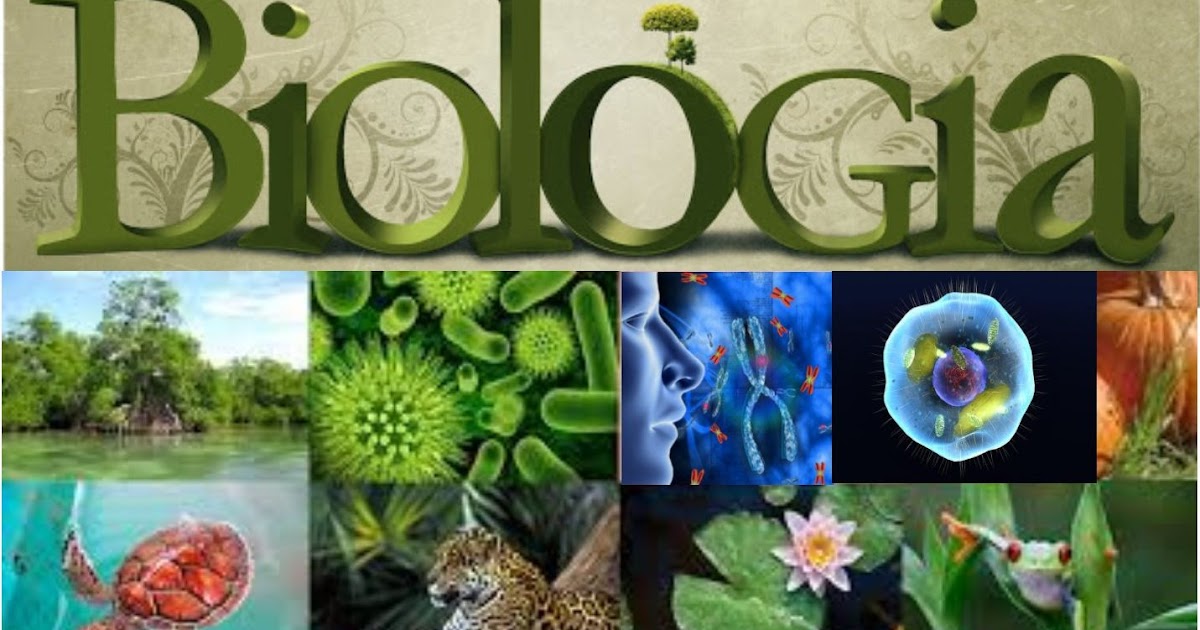 Biología 1: Bienvenida