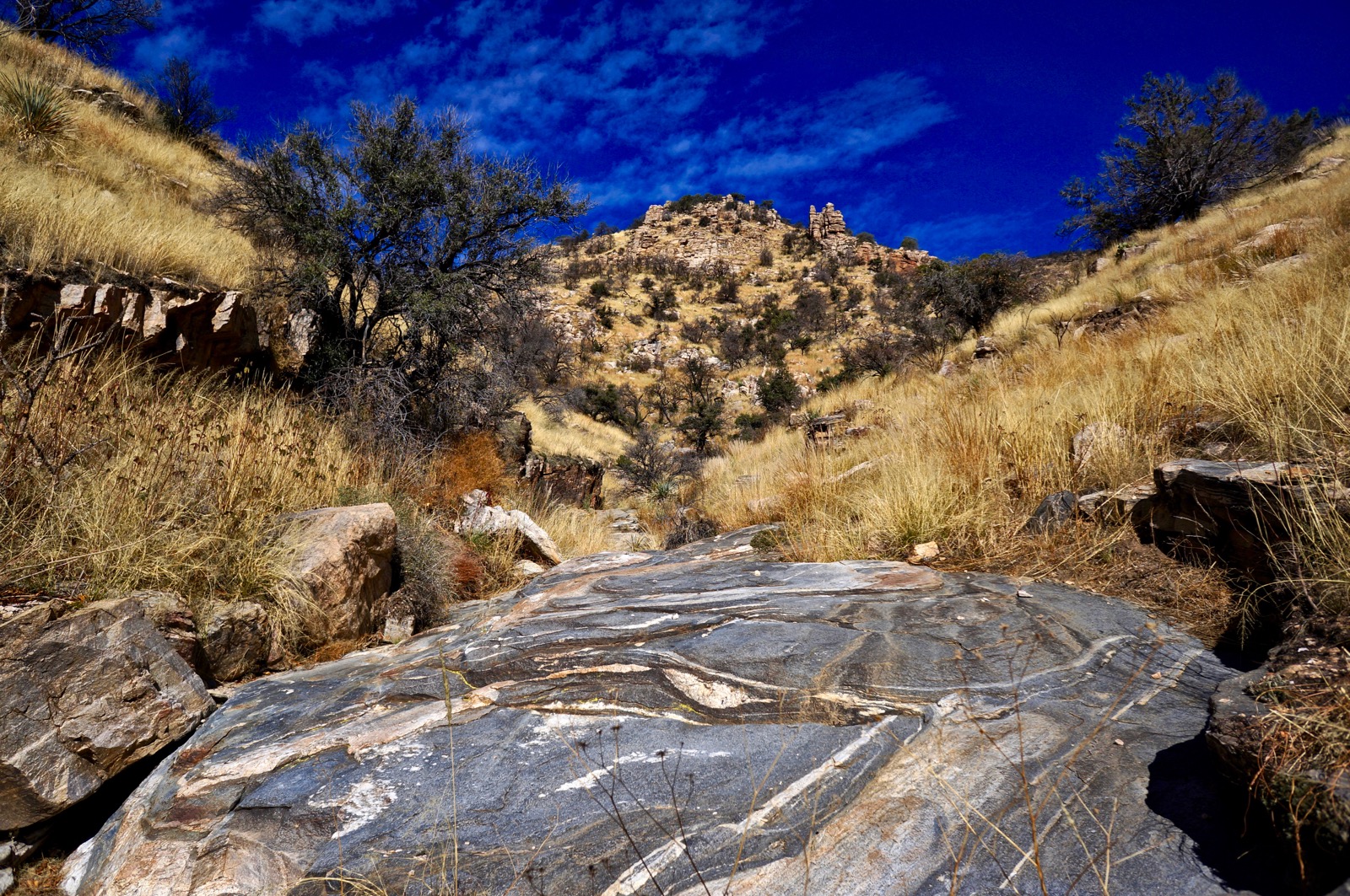 Earthline: The American West: Linda Vista Ridge to Point 5,730': The ...