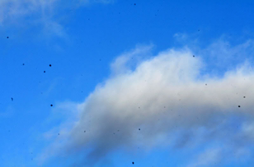 PHOTOGRAPHY101: How to Avoid a Dirty DSLR Image Sensor