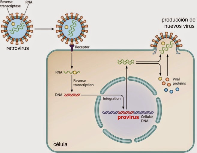 microBIO: 1/01/15 - 1/02/15