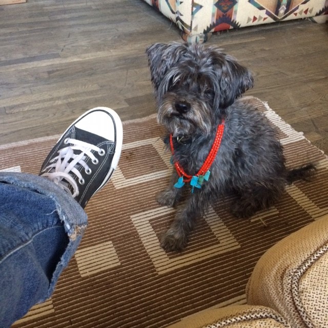 Matriarchland. Indigenous Adornment.Happiness & Beauty All Around. Be ...