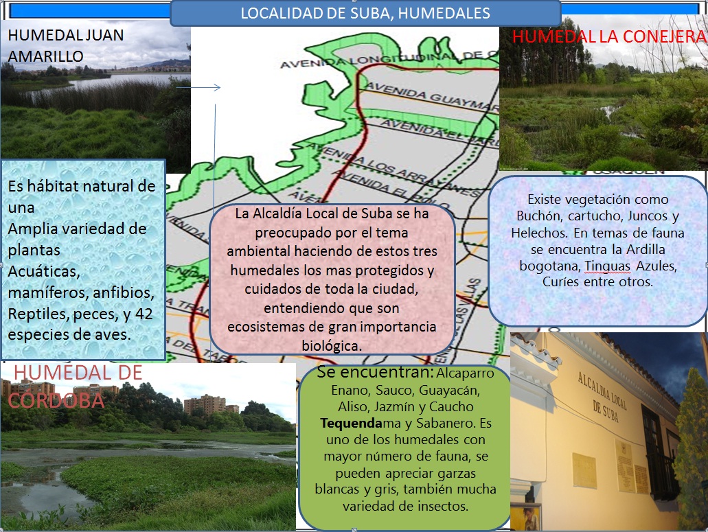 Localidad de Suba.: Localidad de Suba