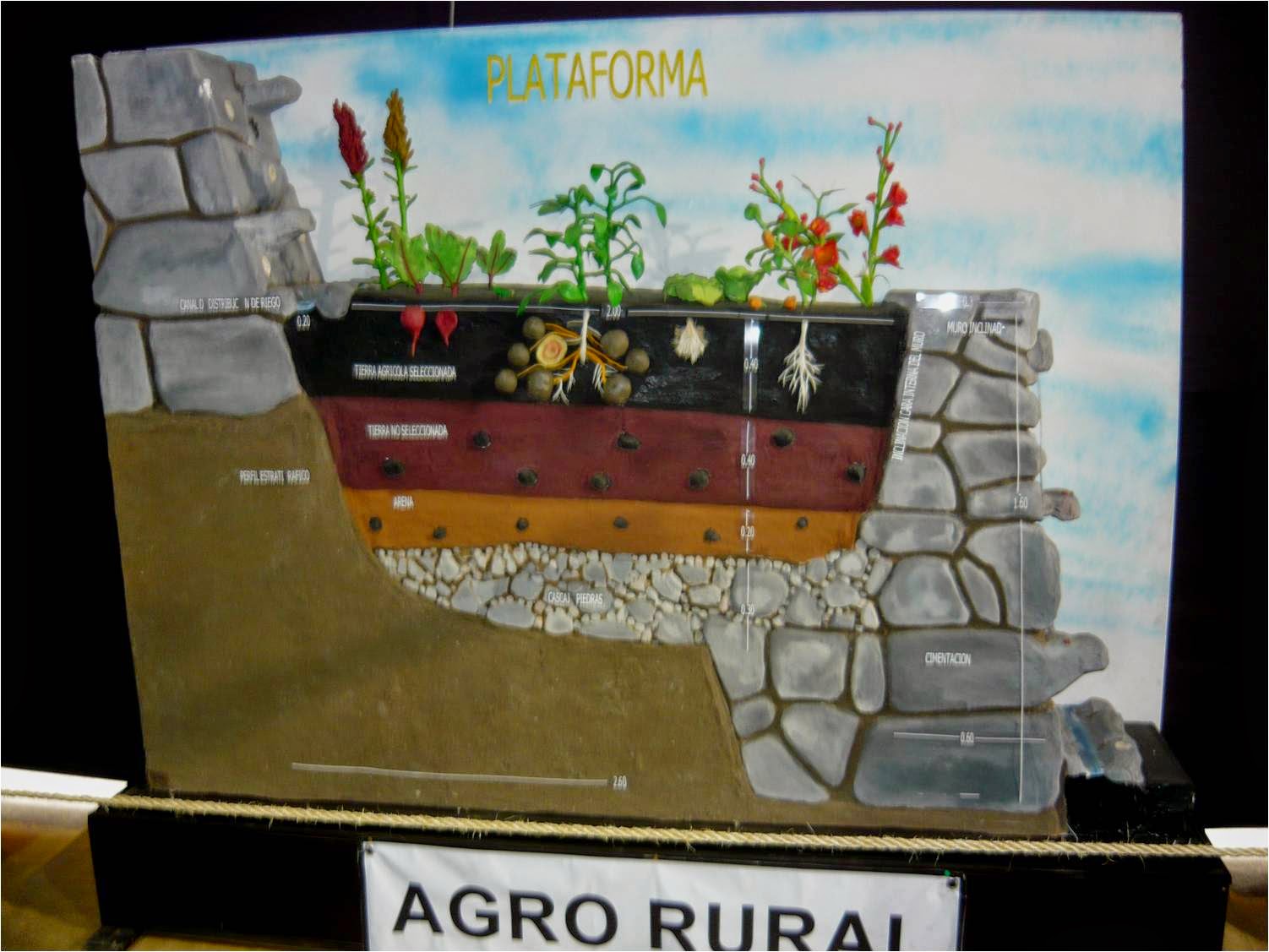 ALTERNATIVA ECOLÓGICA: LOS ANDENES LIMEÑOS