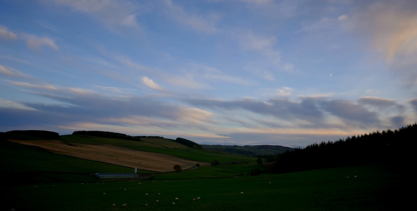 best part of the day: Tweed Valley Ultra Recce and Oct TB