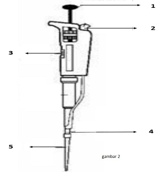 MIKROPIPET : Cara Menggunakan Mikropipet | JAGAD KIMIA